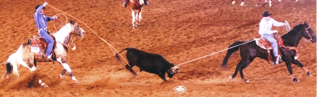 Joni Voloshin Performance Horses: Passion Buck/Achievements and Awards